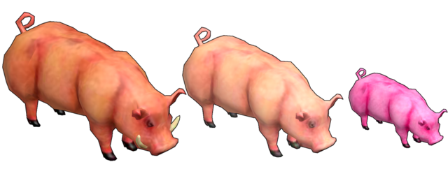 Pig - Ring of Brodgar